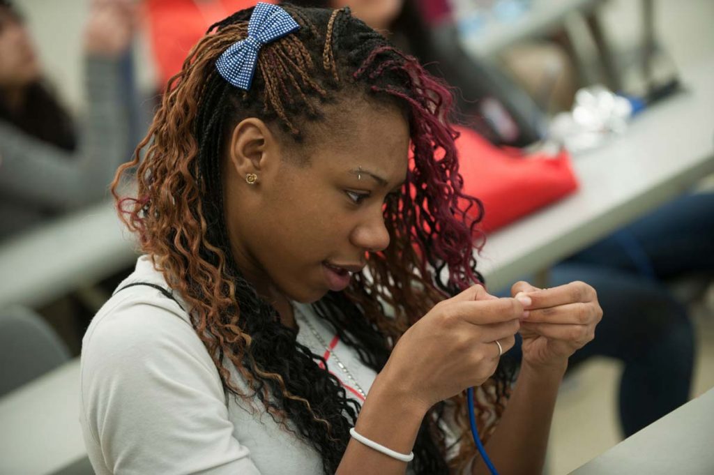 TechWomen|TechGirls - New Hampshire Tech Alliance