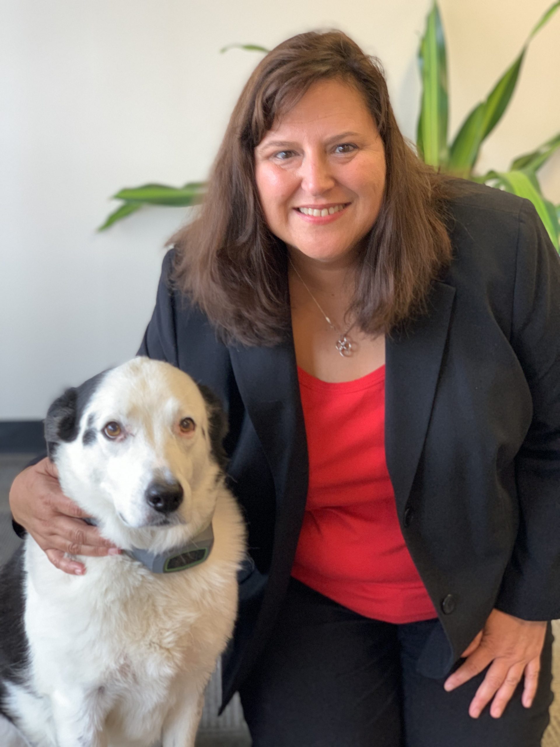 Office Hours Experts - New Hampshire Tech Alliance